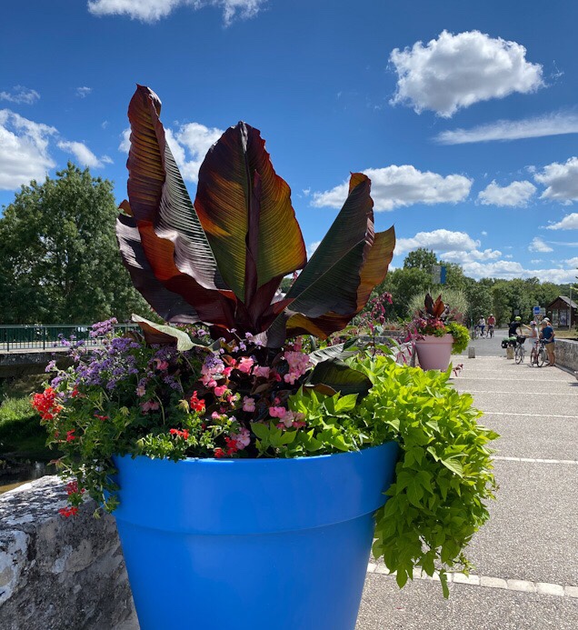 The Big Blue Pot – Le grand pot bleu – Loire Daily Photo